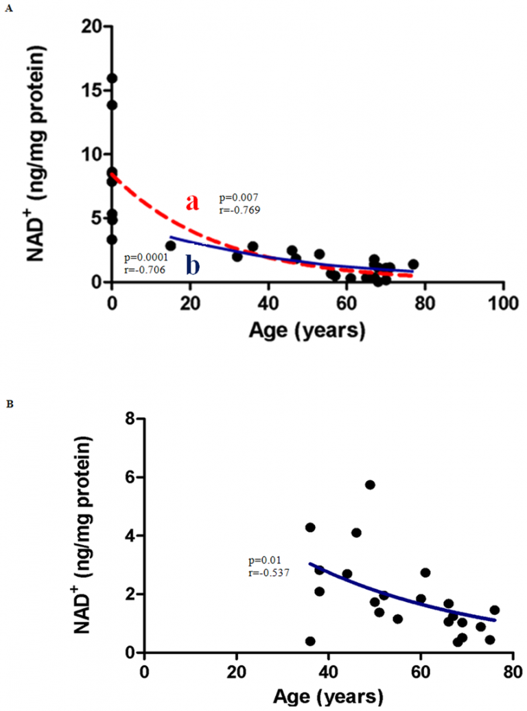 NAD Nicotinamide Adenine Dinucleotide Precursors | NADIOL™