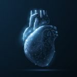 NAD Nicotinamide Adenine Dinucleotide Precursors | NADIOL™